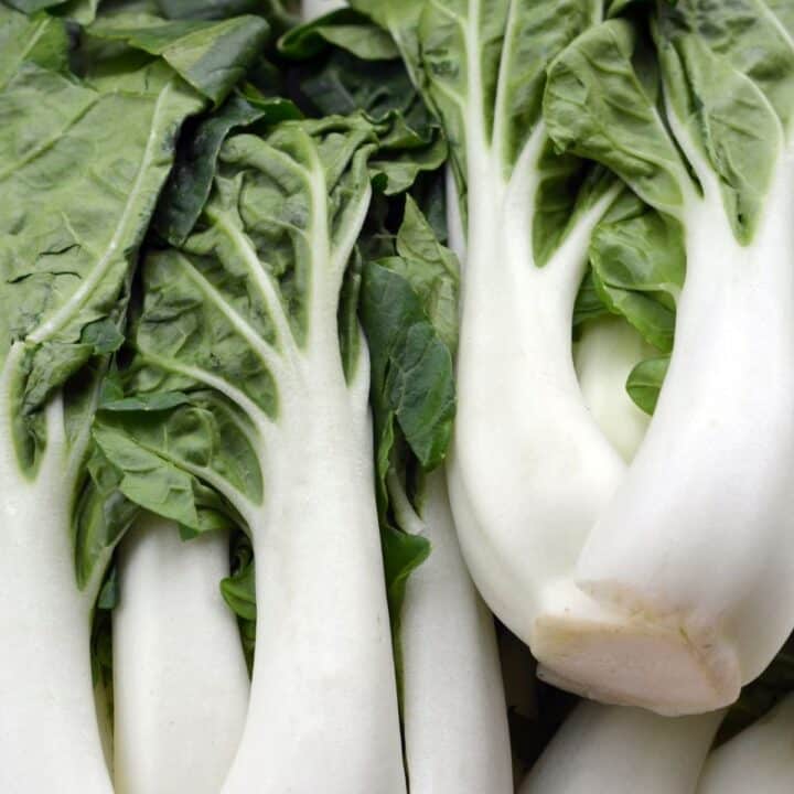Pak Choy vs Bok Choy: What's The Difference? Or Are They Similar?