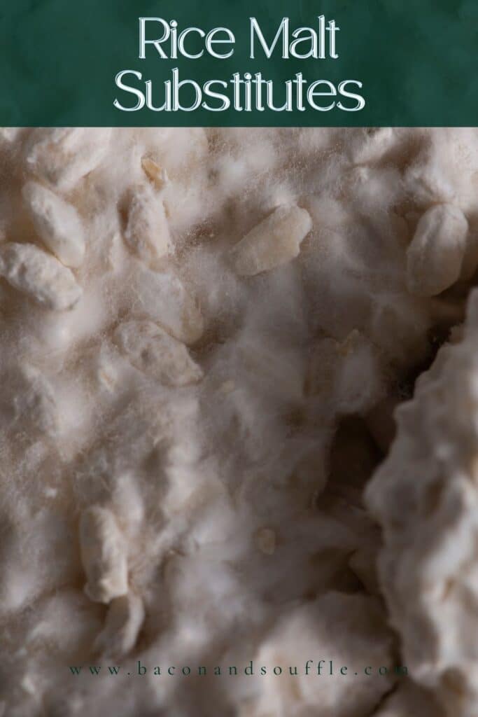 Rice Malt Syrup Substitute | Bacon and Souffle